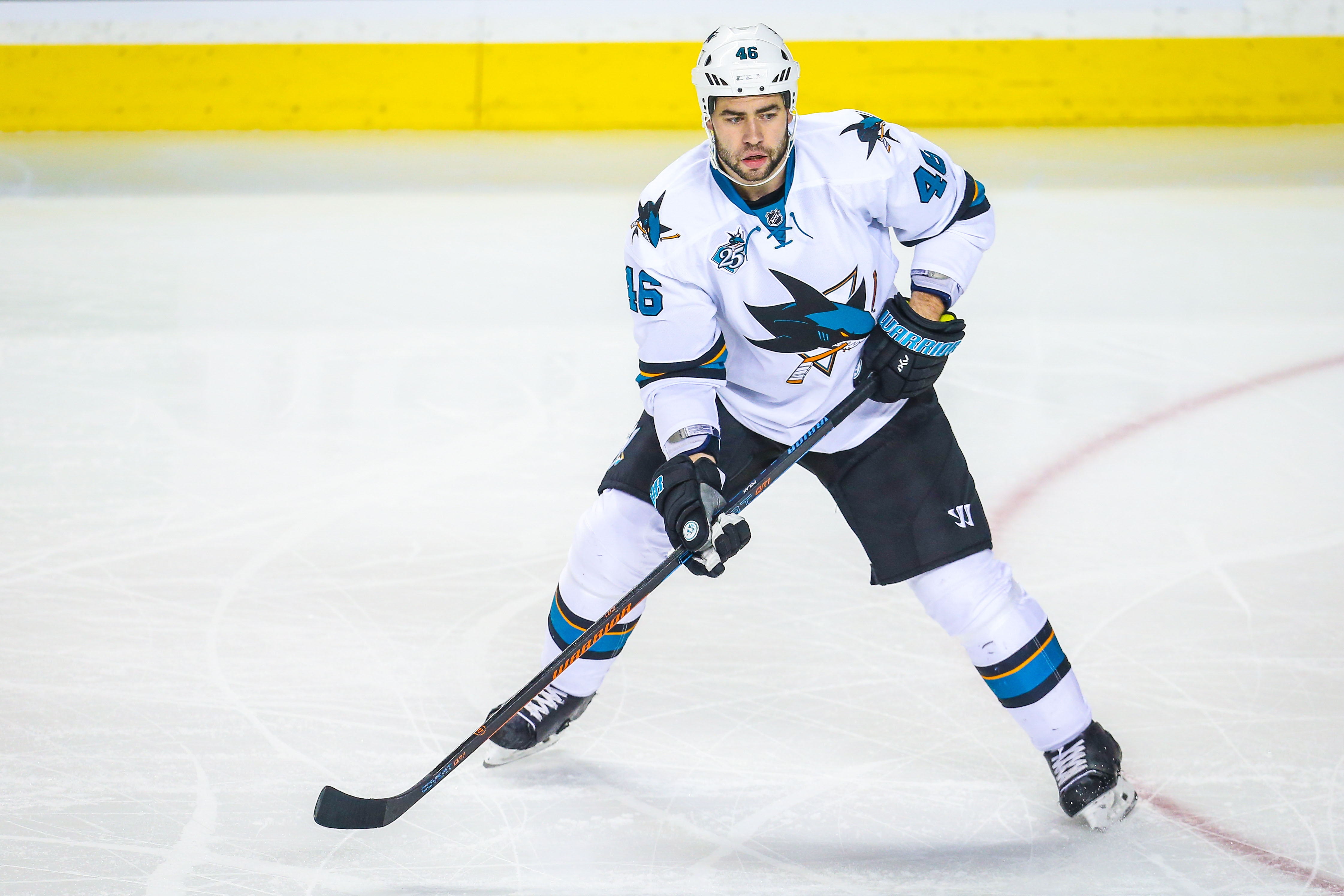 Maple Leafs Sign Roman Polak