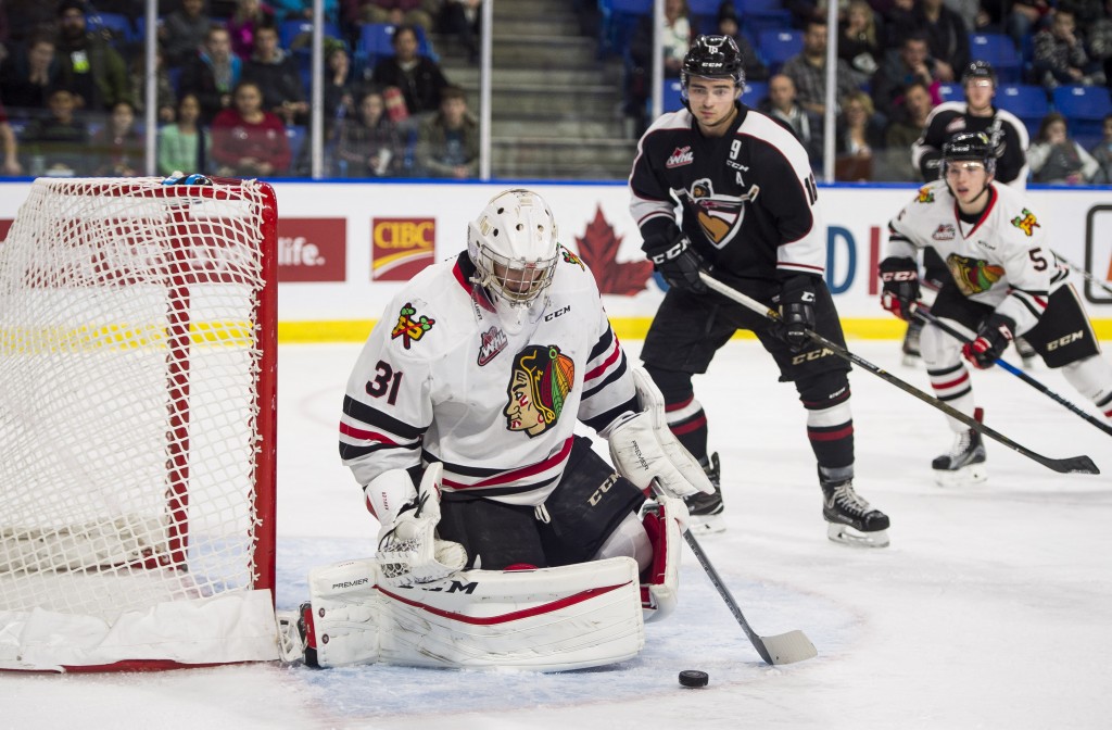 Cole Kehler Signs With Los Angeles Kings