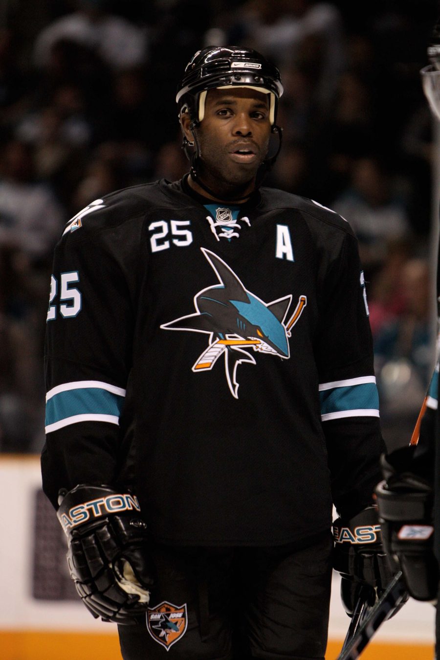 San Jose Sharks Hire Mike Grier – Pro Hockey Rumors