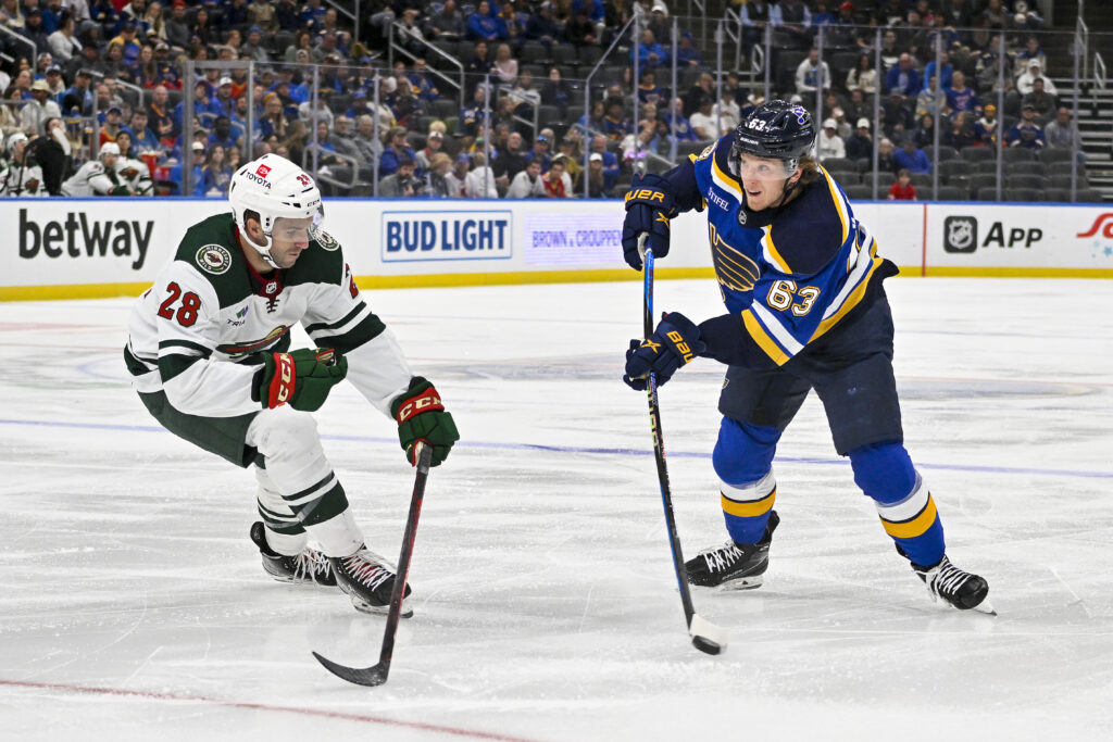 Minnesota Wild Recall Steven Fogarty