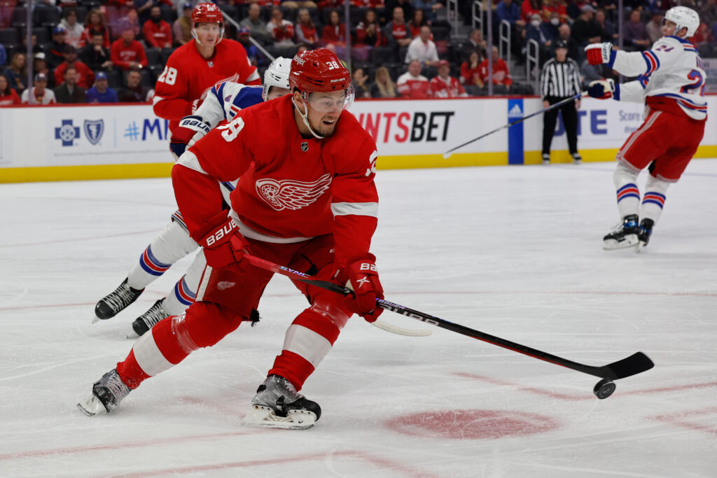 Detroit Red Wings Activate Robert Hagg