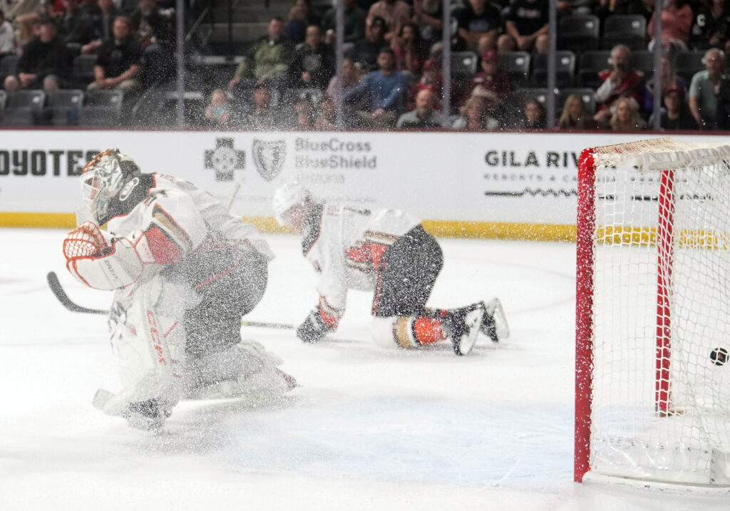 Anaheim Ducks Prospect Olle Eriksson Ek Signs In Sweden