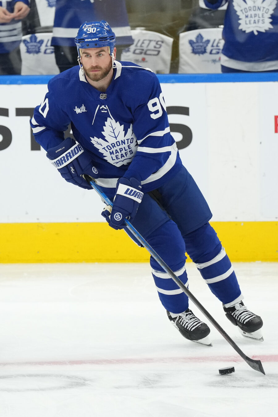 Summer Synopsis: Nashville Predators