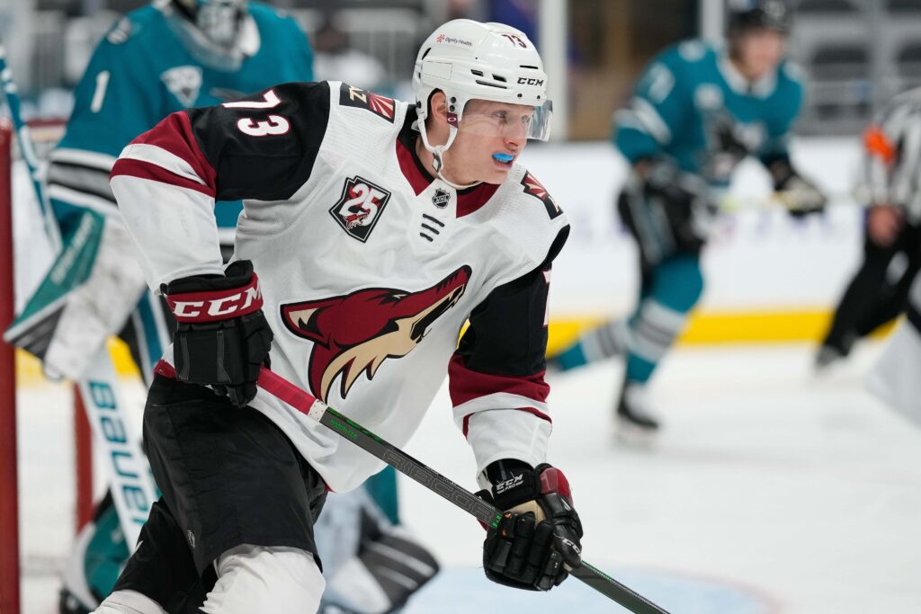 Arizona Coyotes Recall Jan Jenik
