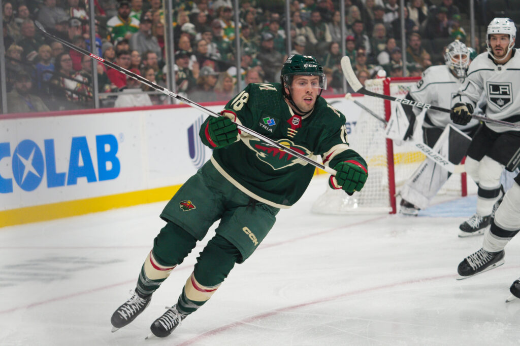 Minnesota Wild Reassign Sammy Walker, Recall Adam Raška