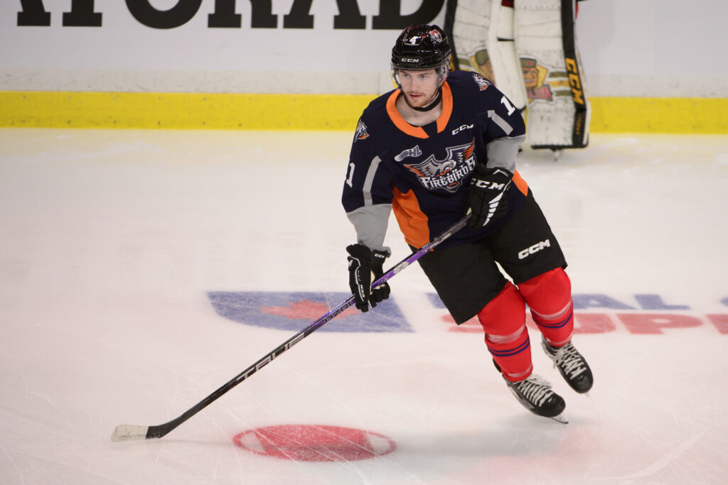 Ducks Sign Coulson Pitre, Yegor Sidorov To Entry-Level Deals – Pro ...
