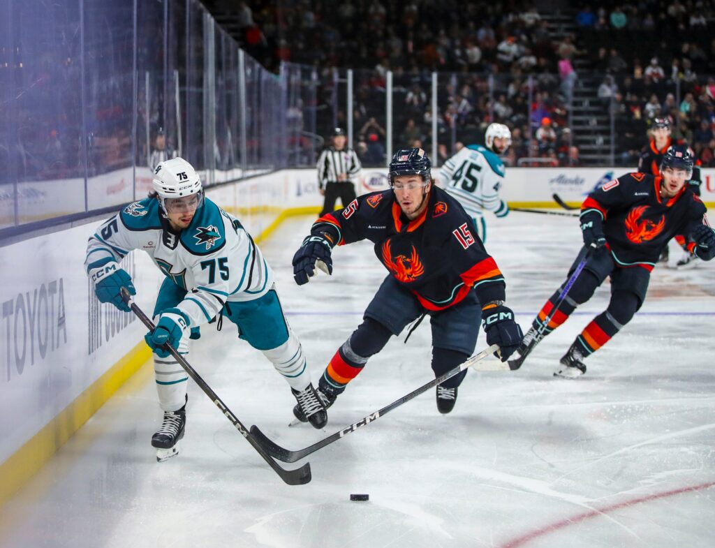 Sharks Recall Daniil Gushchin, Jack Thompson, Georgi Romanov