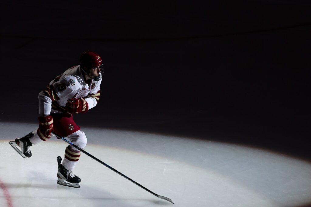 Ducks Sign Cutter Gauthier