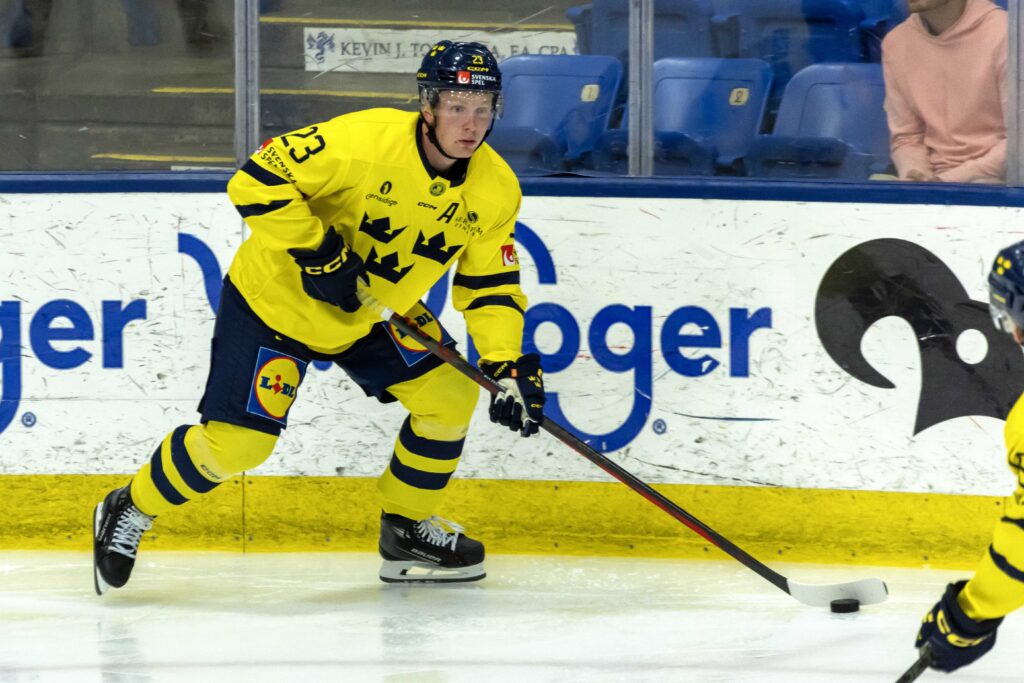 Blues Reassign Otto Stenberg To AHL