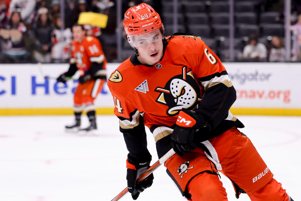 Anaheim Ducks Recall Sam Colangelo