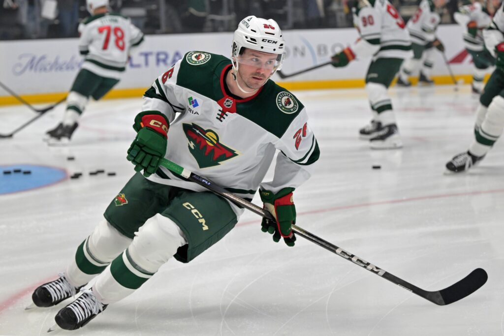Minnesota Wild Reassign Matt Kiersted – Pro Hockey Rumors