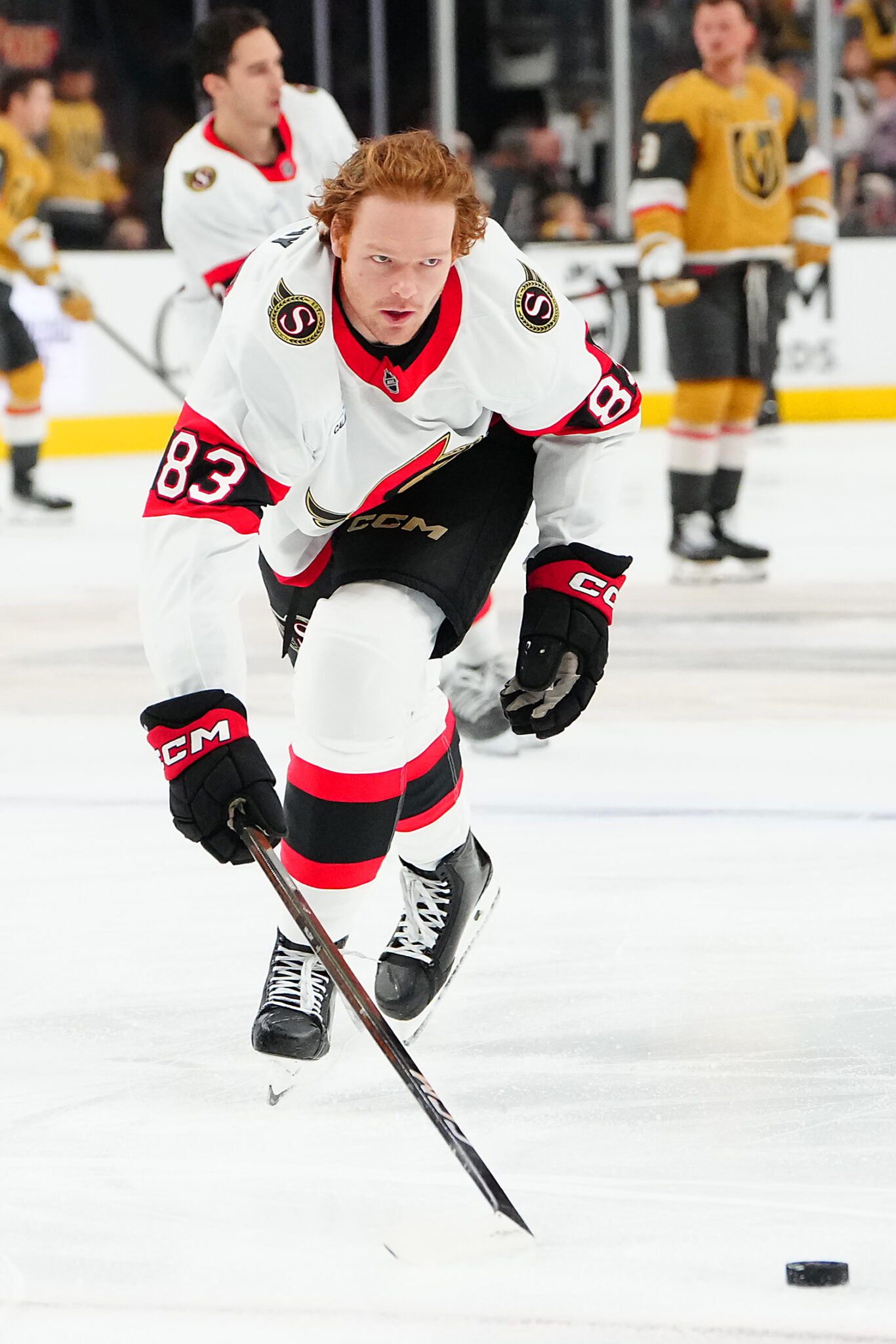 Stephen Halliday – Pro Hockey Rumors